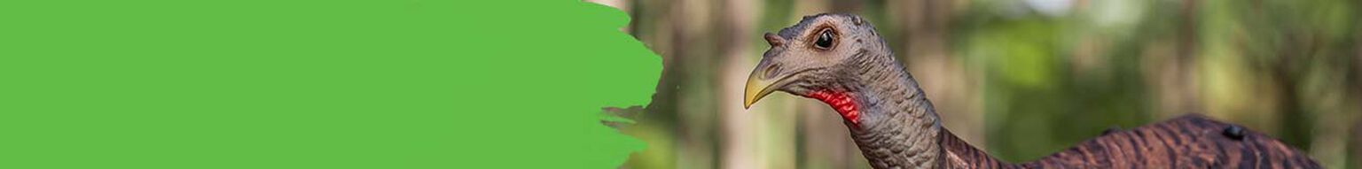 Buy Decoys - Primos Hunting