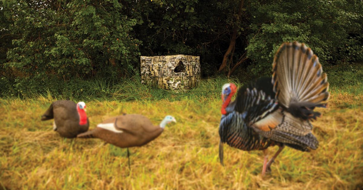 Turkey Season Gear | Primos