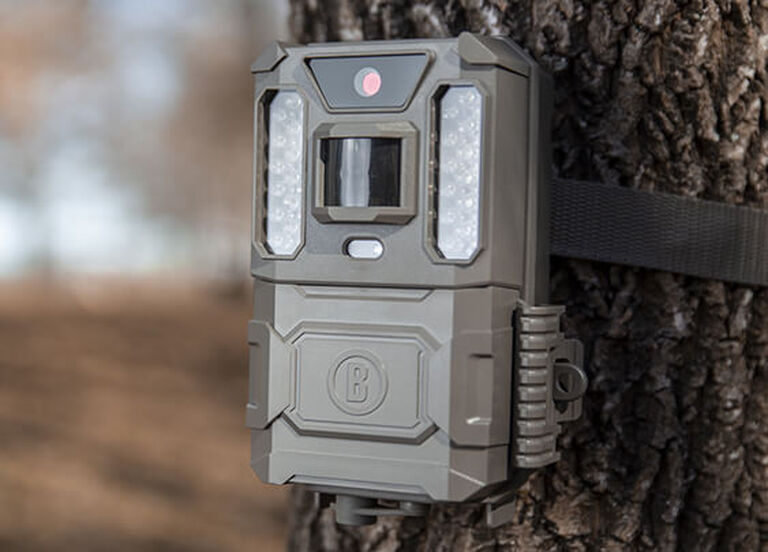 Trail Cameras Buyer's Guide - Best Trail Cameras | Bushnell Trail Cameras Buyer's Guide - Best Trail Cameras | Bushnell