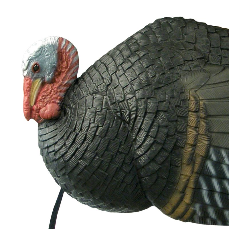 Buy Killer B Turkey Decoy - Primos Hunting