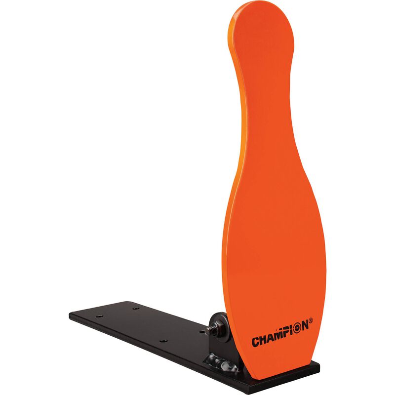 Buy .22 Auto Reset Target and More | Champion Target