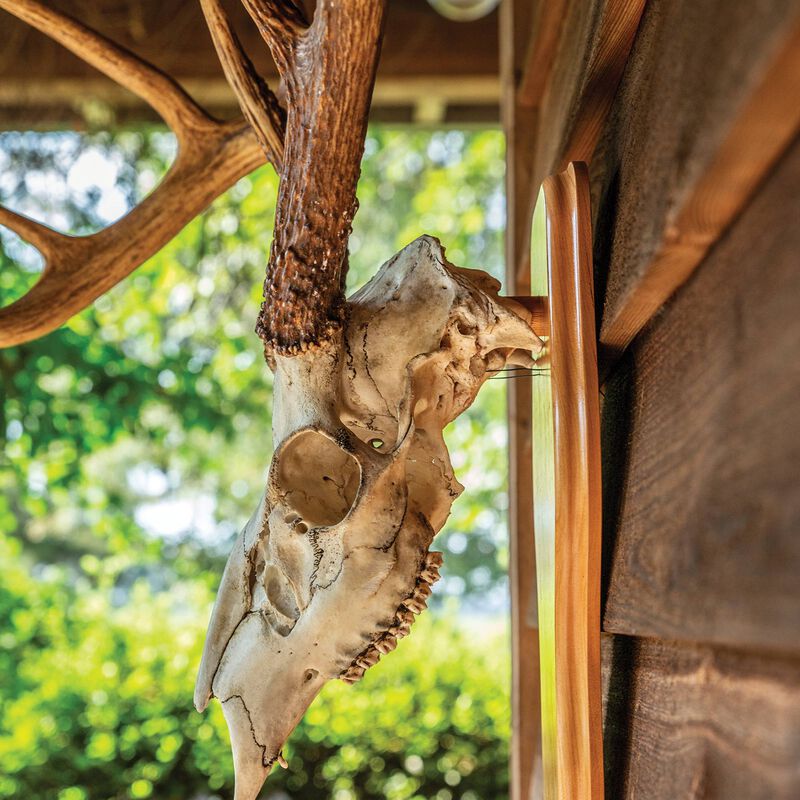 Buy Custom Euro Deer Plaque - Primos Hunting