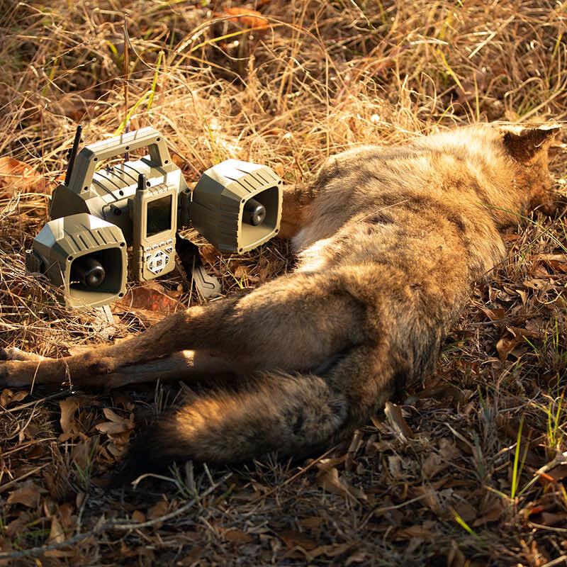 Buy Double Take Electronic Game Caller - Primos Hunting