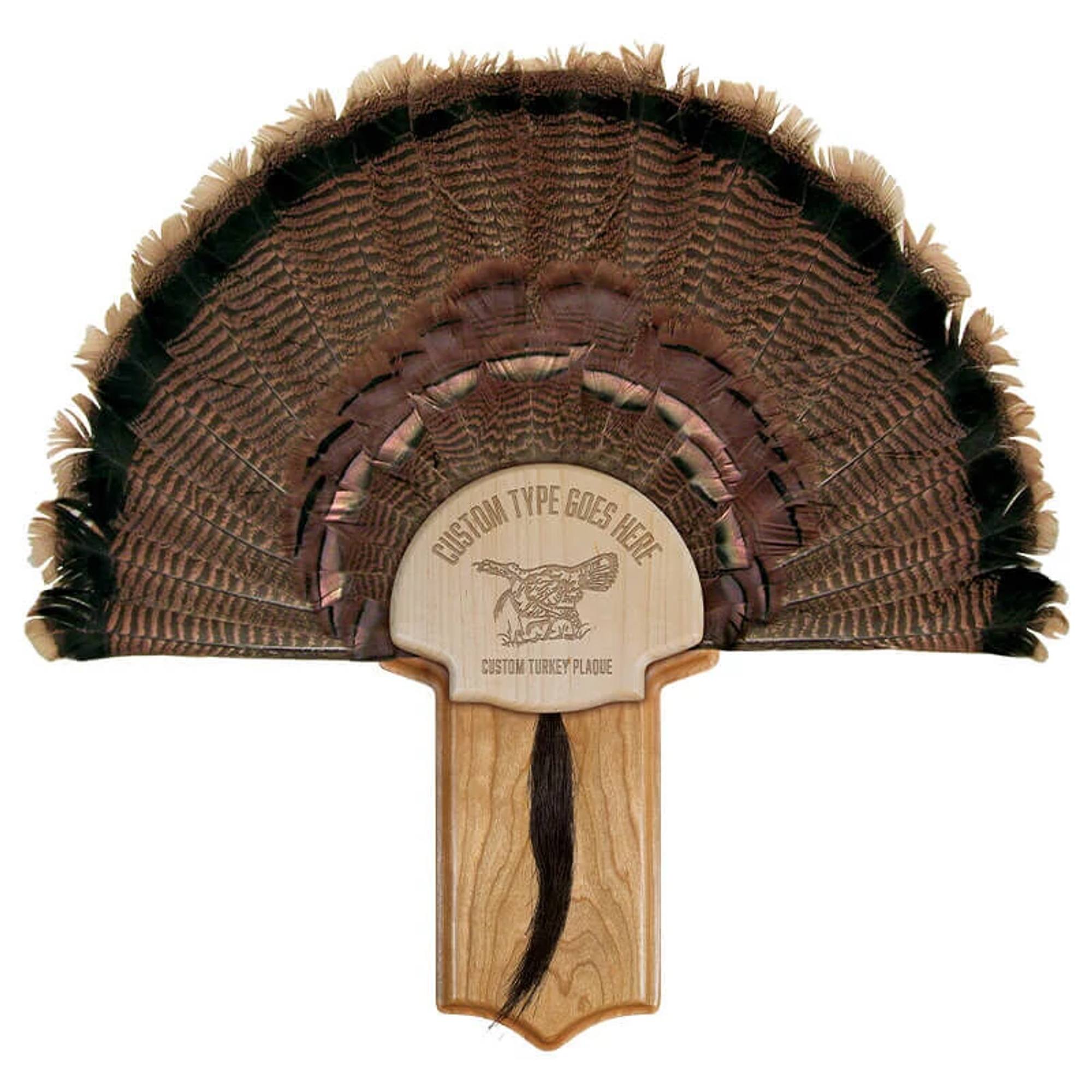 turkey feather mount